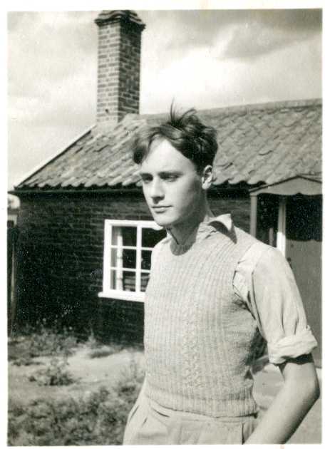 Wulff – SHELF LIVES